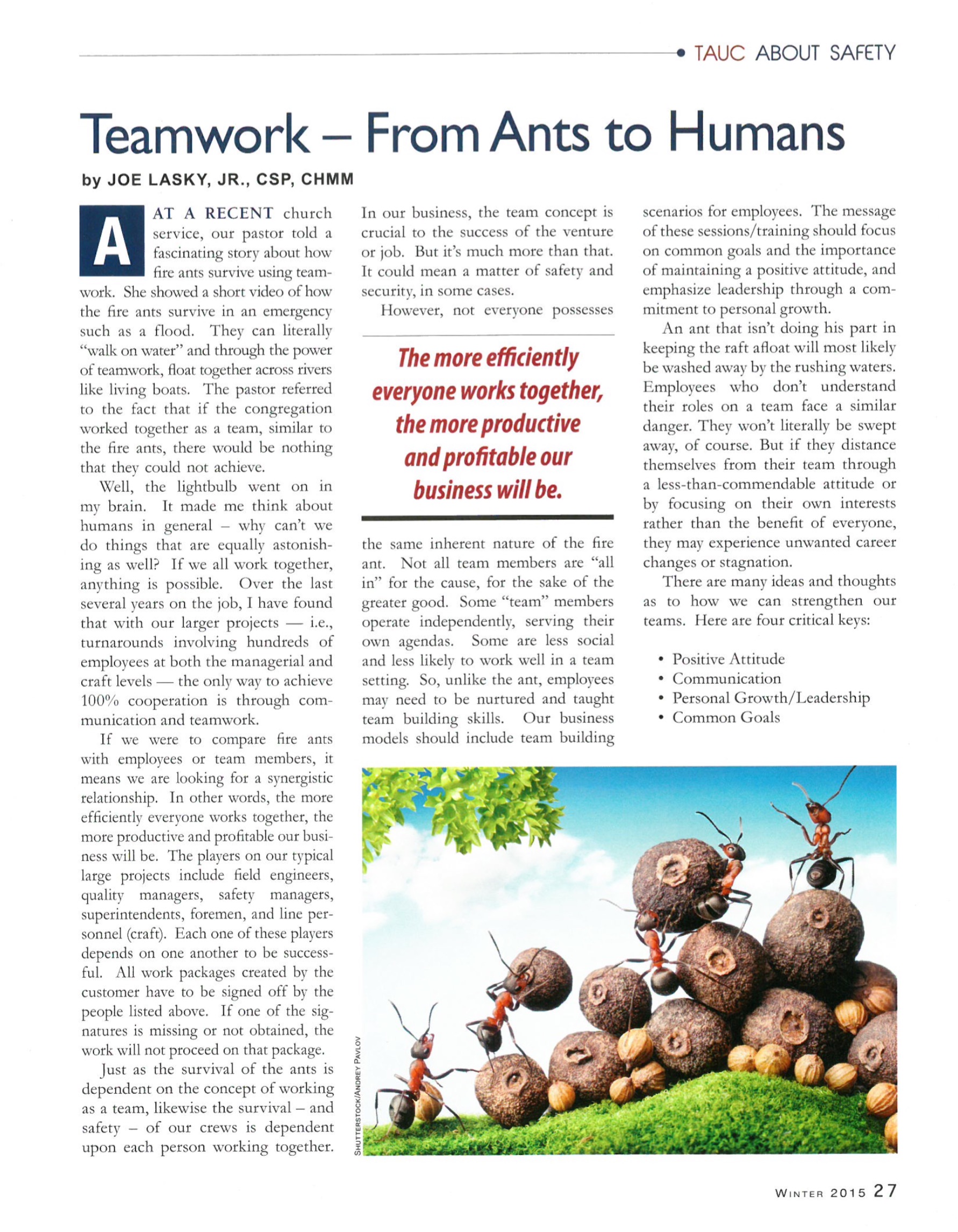 Scheck Industries » Teamwork – From Ants to Humans